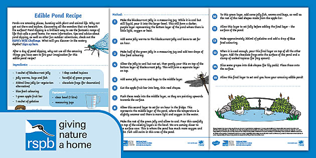 FREE! - Edible Pond Recipe (Ages 5 - 7) (Teacher-Made)