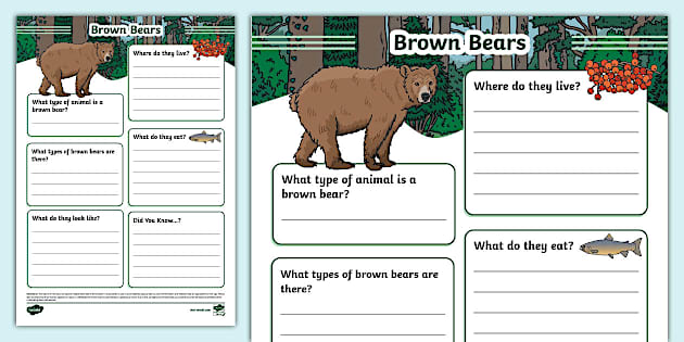 Brown Bear Fact File Template (l'enseignant a fait) - Twinkl