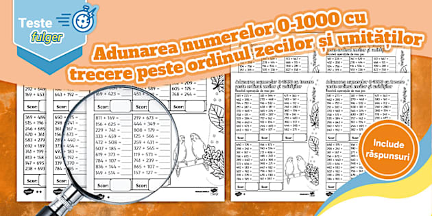 Adunarea 0-1000 cu trecere peste ordin – Test fulger