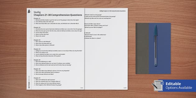 Skellig Chapters 21 - 30 Comprehension Questions - Twinkl