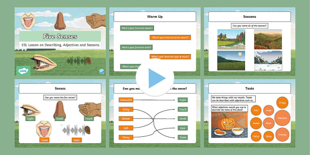 ESL Fives Senses Lesson (teacher made) - Twinkl