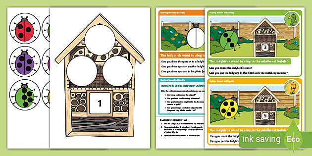 EYFS Maths Matching Numeral and Quantity Chilli Challenges: Ladybird Hotels