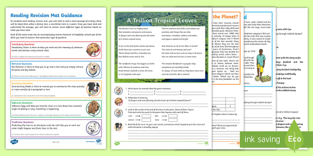 Y5 Reading 3 Revision Activity Mat Pack - Twinkl