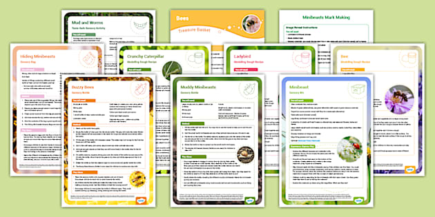 Minibeasts Sensory Activities Pack | Sensory Play | Twinkl