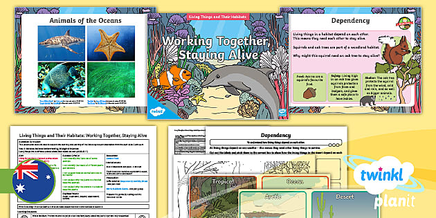 Year 1 Science Living Things and Their Habitats Lesson 5