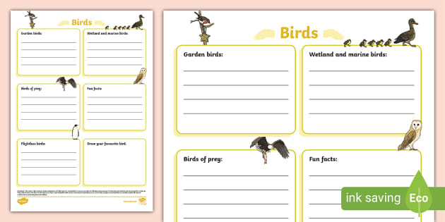 Birds Fact File Template,British birds (teacher made)