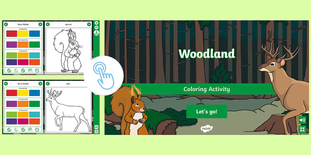 Woodland Interactive Coloring Activity (teacher made)