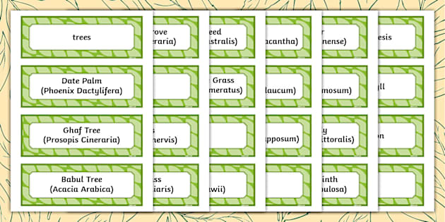 UAE Plants - Word Cards (teacher made) - Twinkl