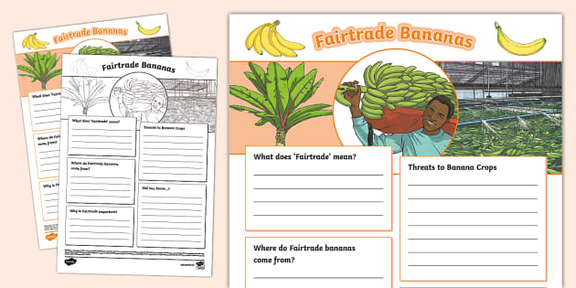 Fairtrade Bananas Fact File Template (teacher made) - Twinkl