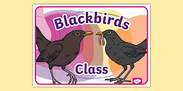 Blackbirds Class Display Poster (Teacher-Made) - Twinkl