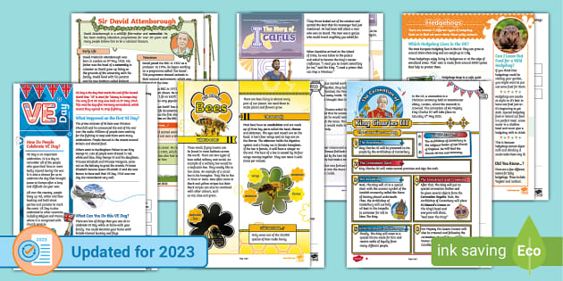 LKS2 May Reading Comprehension Activity Pack - Twinkl