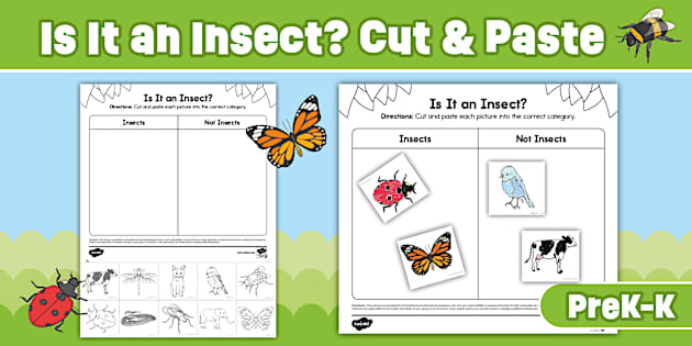 Is It an Insect? Cut and Paste Activity for PreK-K