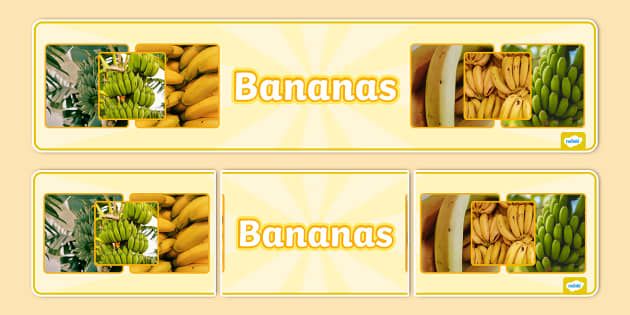 Bananas Photo Display Banner (teacher made) - Twinkl