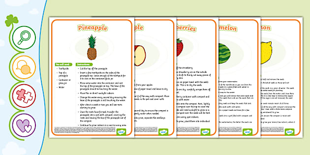 Growing Fruits (teacher made) - Twinkl