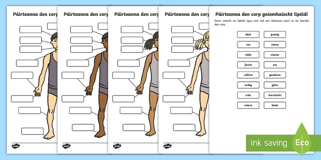 Codanna Choirp Ceacht | Acmhainní Gaeilge | - Twinkl