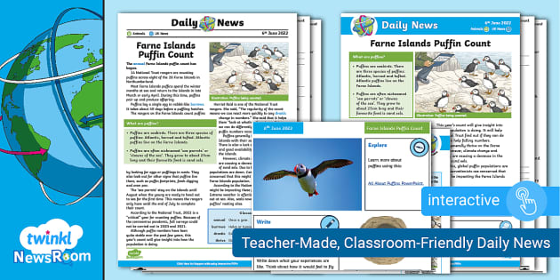 National Bird | Twinkl Resources (Teacher-Made) - Twinkl