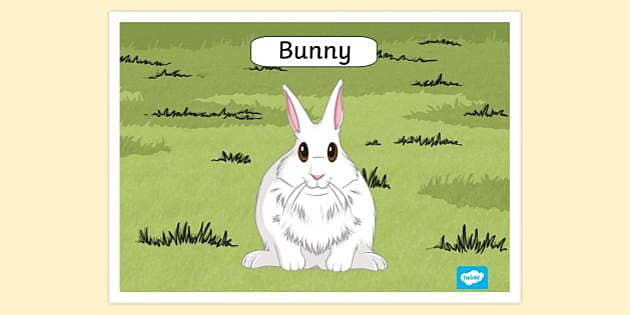 Bunny Poster | Display Posters | Primary Resources