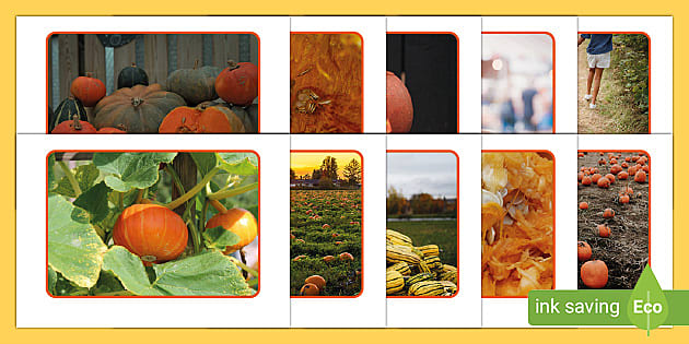 EYFS Pumpkin Display Photos (teacher made)