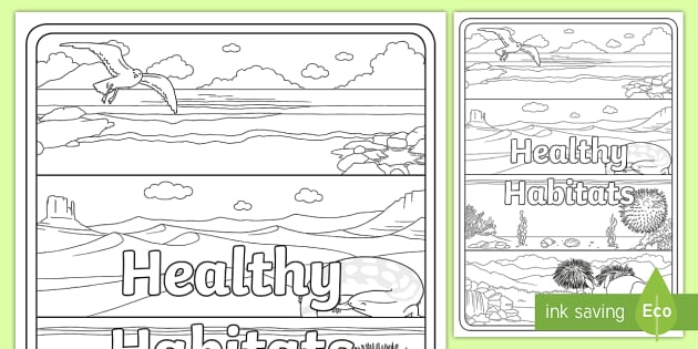 Healthy Habitats Year 1 Colouring Page - Science and STEM