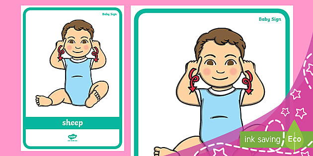 Baby Sign Language Poster (Sheep) (teacher made) - Twinkl