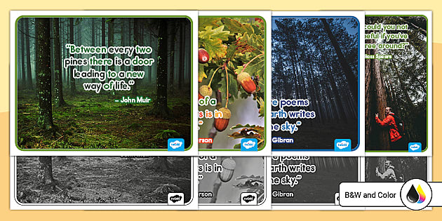 Celebrating Trees Posters for Arbor Day or Earth Day