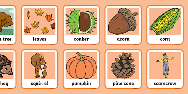 Autumn Pairs Matching Game (teacher made) - Twinkl