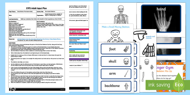 EYFS Bones Activity Human Skeleton Adult Input Plan Pack