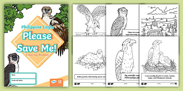 philippine eagle coloring page