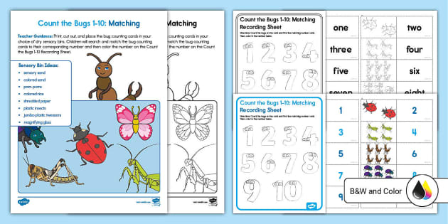 Count the Bugs One to 10 Sensory Bin Activity - Twinkl