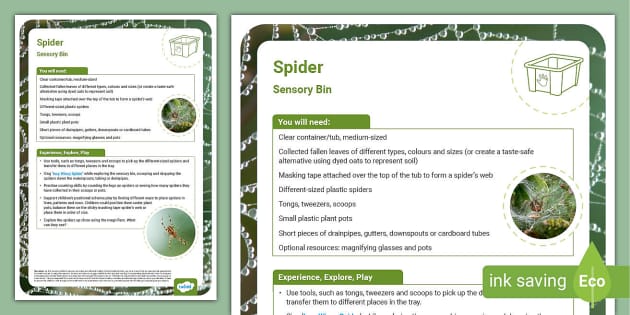 Spider Sensory Bin | Sensory Play | Twinkl (Teacher-Made)