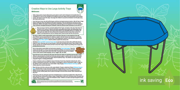 EYFS Ages 0-2 Large Activity Trays: Minibeasts | Twinkl