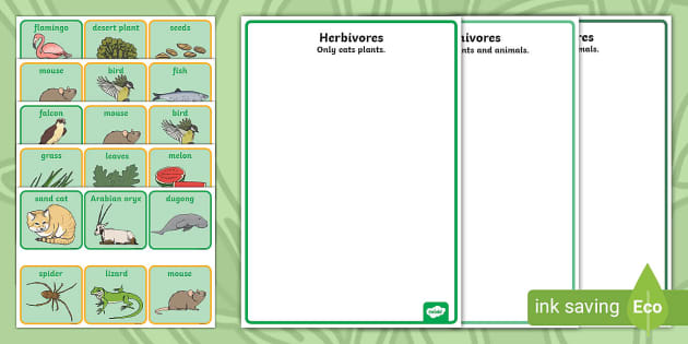 UAE Animals and What They Eat Sorting Activity - Twinkl