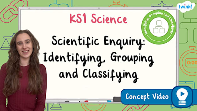 Identifying, Grouping and Classifying | KS1 Science Concept Video