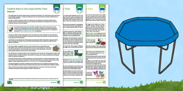 EYFS Ages 0-5 Creative Large Activity Trays Pack: Minibeasts