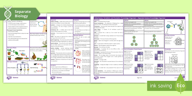 Inheritance Knowledge Organiser | AQA Biology | Beyond