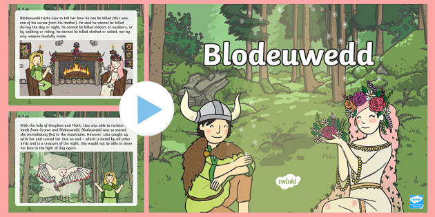 Beautiful Blodeuwedd Story PowerPoint (Teacher-made)
