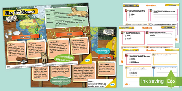 LKS2 Digging for Details: Elsa the Lioness (teacher made)