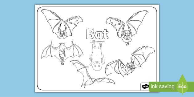 Bat Doodle Colouring Page (teacher made) - Twinkl