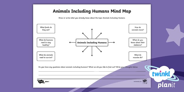 Year 3 Animals Including Humans Mind Map - Twinkl