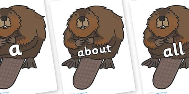 100 High Frequency Words on Beavers (teacher made) - Twinkl