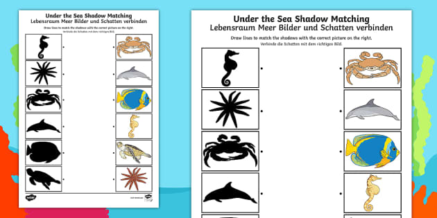 Under the Sea Shadow Matching Worksheet English/German - EAL, German, Under Under the Sea Shadow Matching Worksheet English/German - EAL, German, Under