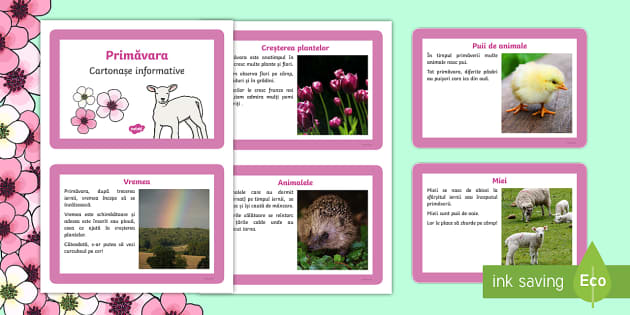 Despre primăvară Cartonașe informative (teacher made)