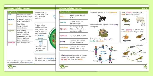 Science Knowledge Organiser: Animals Including Humans Year 2