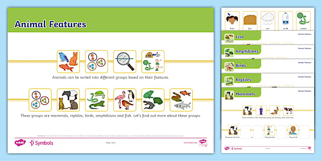 Twinkl Symbols: Animal Features Gap Fill Worksheet (Lesson 2)