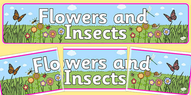 Flowers and Insects Banner (teacher made) - Twinkl