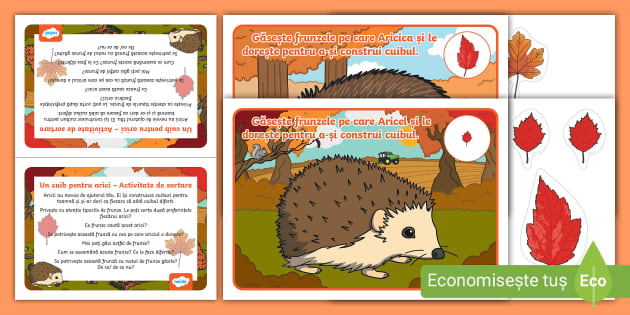 Un cuib pentru arici – Activitate de sortare - Twinkl