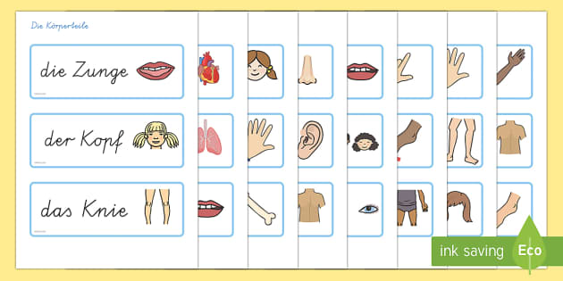 Die Körperteile Topic Word Cards German (profesor hizo)