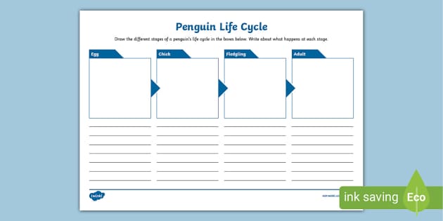 * NEW * Penguin Life Cycle Writing Template (teacher made)