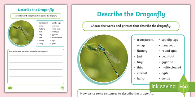 Describe the Dragonfly Writing Worksheet,Dragonfly - Twinkl