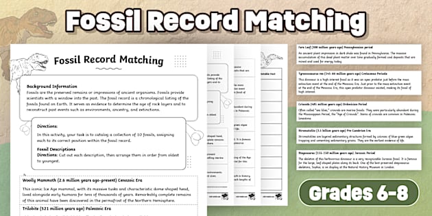 Fossil Record Matching Activity for 6th-8th Grade